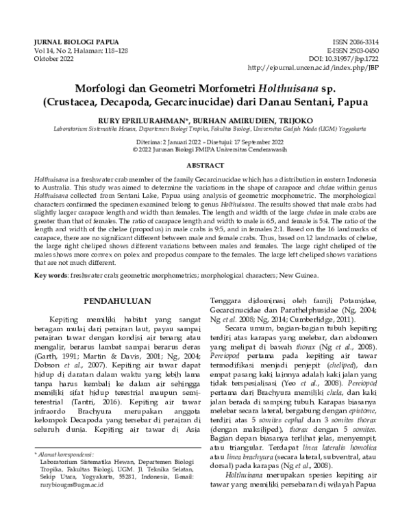 (PDF) Morfologi dan Geometri Morfometri Holthuisana sp. (Crustacea ...