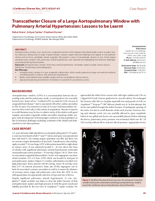 (PDF) Transcatheter Closure of a Large Aortopulmonary Window with ...