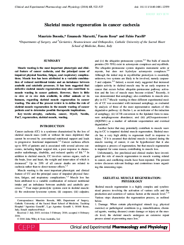 (PDF) Skeletal muscle regeneration in cancer cachexia