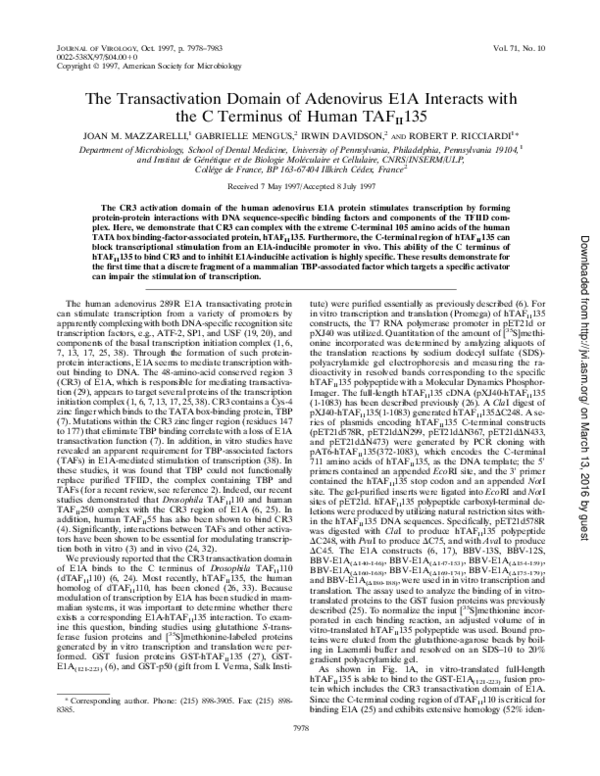 (PDF) The transactivation domain of adenovirus E1A interacts with the C ...