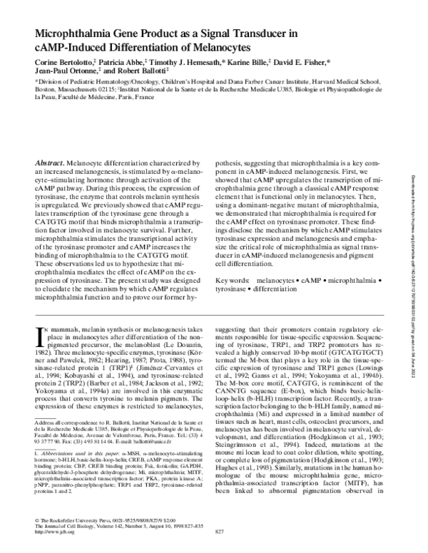 (PDF) Microphthalmia Gene Product as a Signal Transducer in cAMP ...