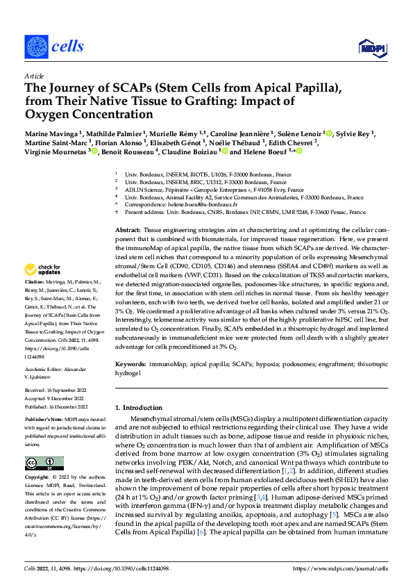 (PDF) The Journey of SCAPs (Stem Cells from Apical Papilla), from Their ...