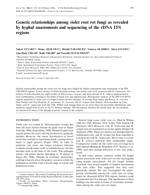 (PDF) Genetic relationships among violet root rot fungi as revealed by ...