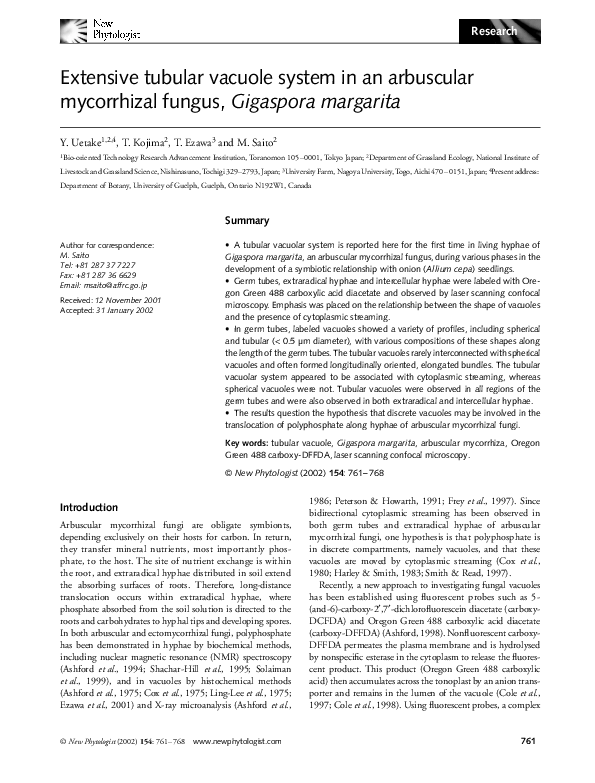 (PDF) Extensive tubular vacuole system in an arbuscular mycorrhizal ...