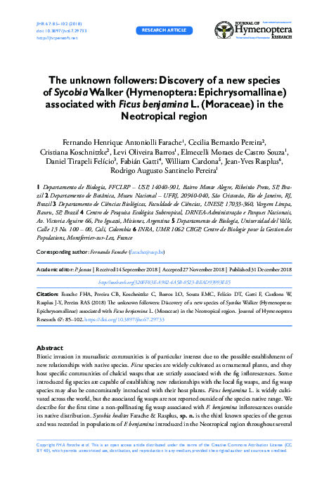 (PDF) The unknown followers: Discovery of a new species of Sycobia ...