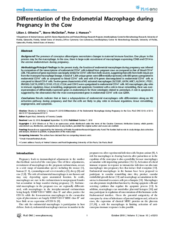 (PDF) Differentiation of the Endometrial Macrophage during Pregnancy in ...
