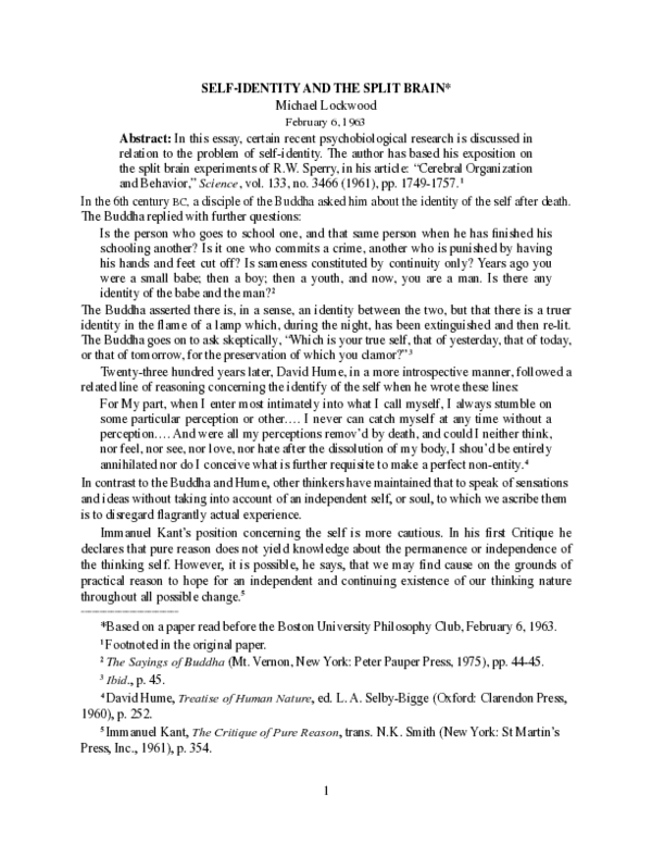 (PDF) Self-Identity and the Split Brain