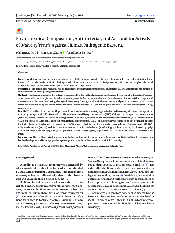 Pdf Phytochemical Composition Antibacterial And Antibiofilm