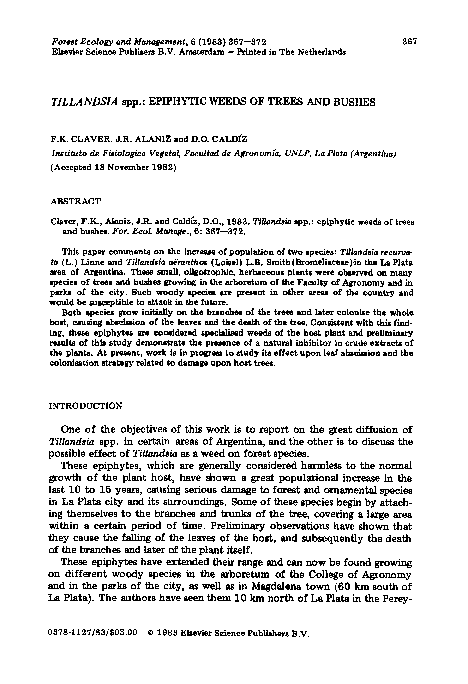 (PDF) Tillandsia spp.: Epiphytic weeds of trees and bushes
