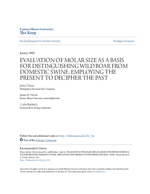 (PDF) Evaluation of molar size as a basis for distinguishing wild boar ...