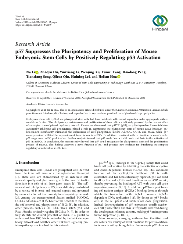 (PDF) p57 Suppresses the Pluripotency and Proliferation of Mouse Embryonic Stem Cells by ...