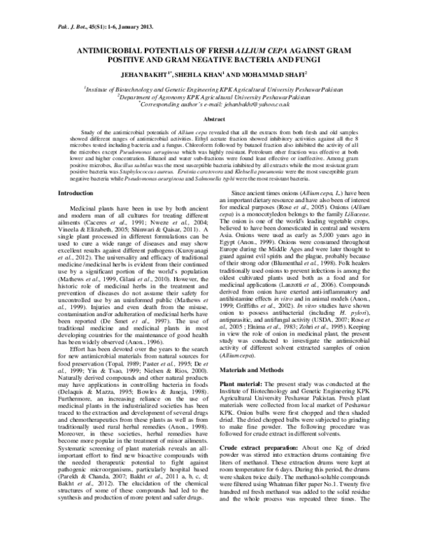(PDF) Antimicrobial potentials of Mentha longifolia by disc diffusion method | mohammad shafi ...