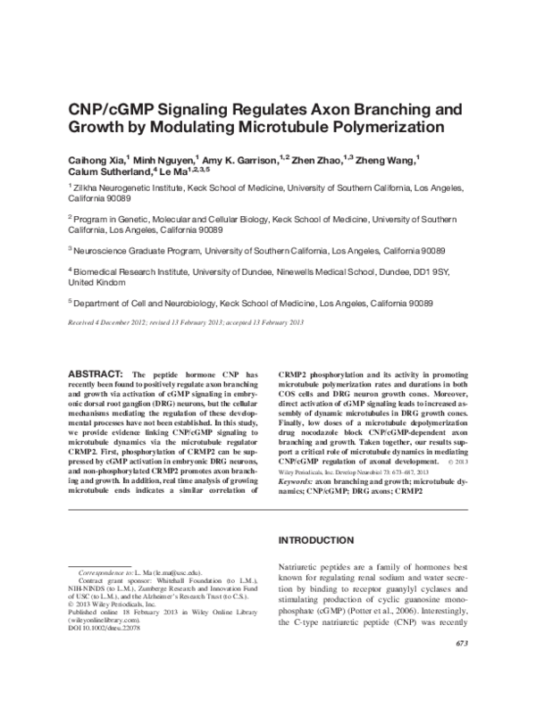 (PDF) CNP/cGMP signaling regulates axon branching and growth by ...