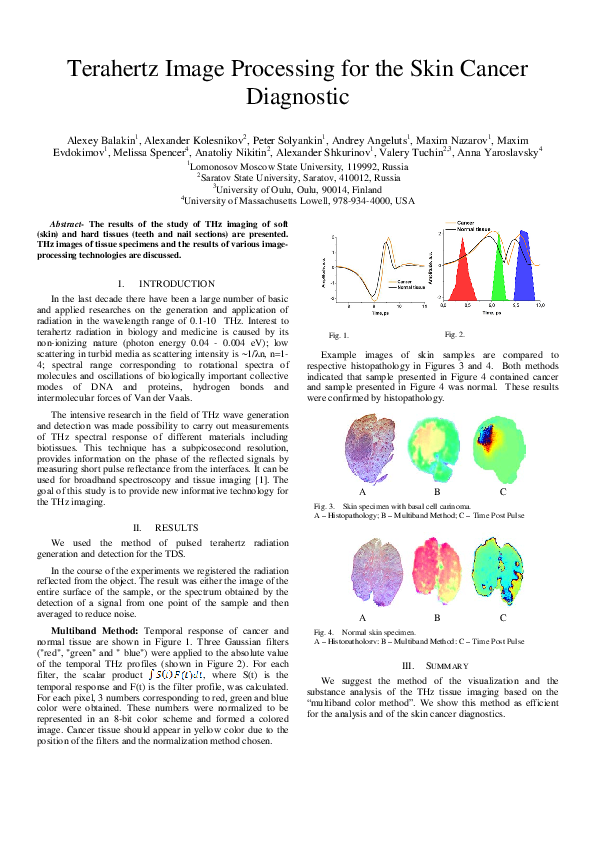 (PDF) Terahertz image processing for the skin cancer diagnostic