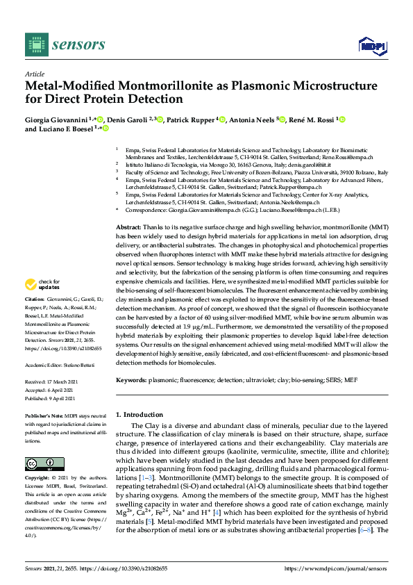 (PDF) Metal-Modified Montmorillonite as Plasmonic Microstructure for ...