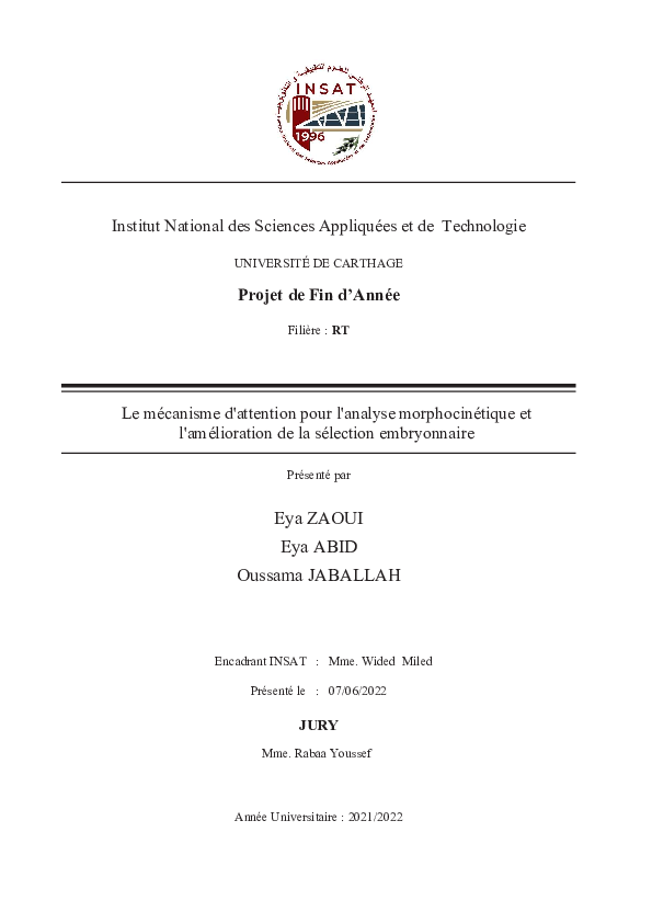 (PDF) Rapport PFA-version finale