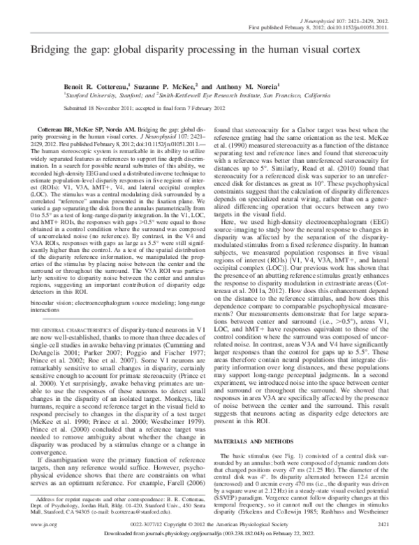 (PDF) Bridging the gap: global disparity processing in the human visual cortex