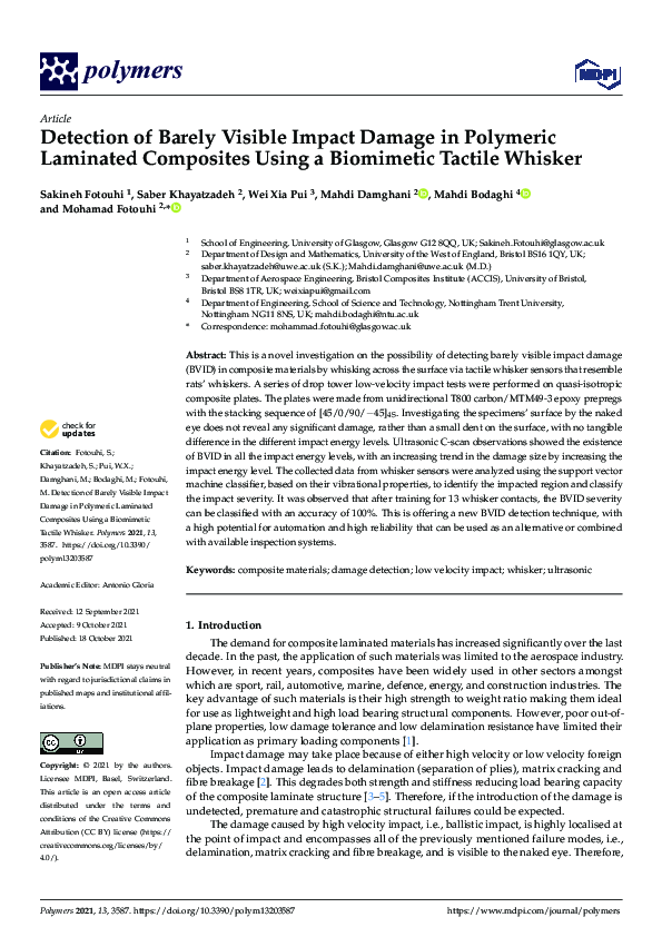 (PDF) Detection of Barely Visible Impact Damage in Polymeric Laminated ...