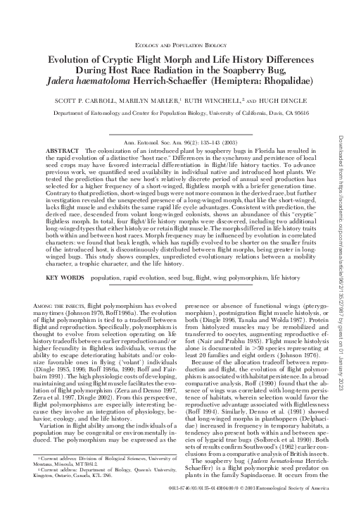 (PDF) Evolution of Flight Morphs in Jadera haematoloma's Host Races
