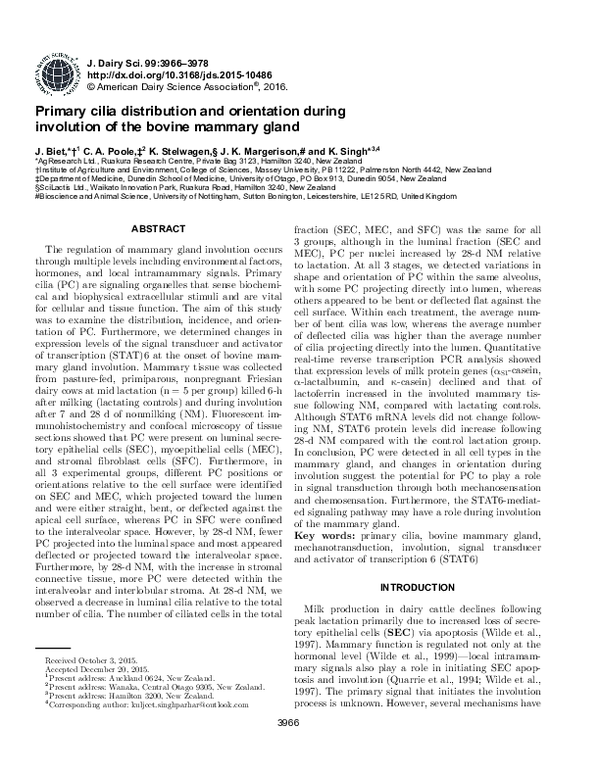 (PDF) Primary cilia distribution and orientation during involution of ...