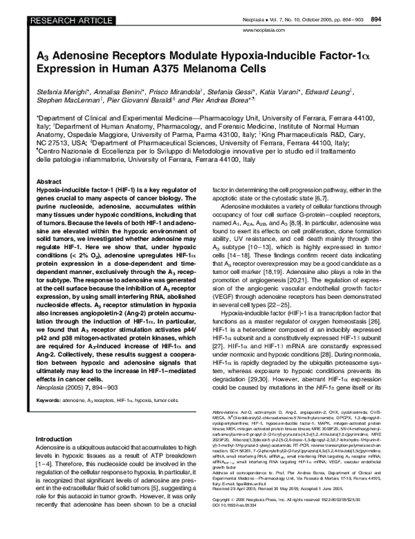 (PDF) Thermal desorption of trimethylphosphine (TMP) on the HY zeolite ...