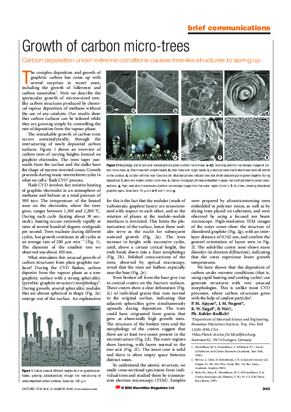 (PDF) Growth of carbon micro-trees