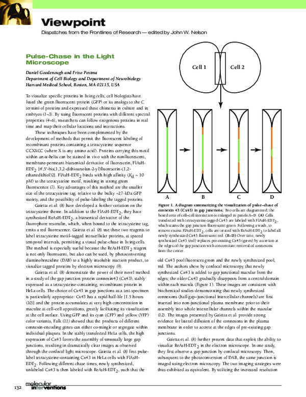 (PDF) Pulse-Chase in the Light Microscope