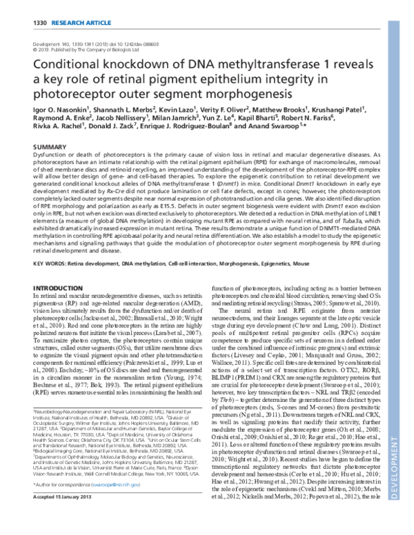 (PDF) Conditional knockdown of DNA methyltransferase 1 reveals a key ...