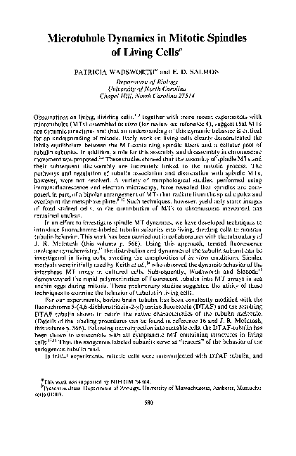 (PDF) Microtubule Dynamics in Mitotic Spindles of Living Cells