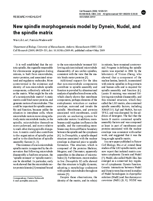 (PDF) New spindle morphogenesis model by Dynein, Nudel, and the spindle matrix