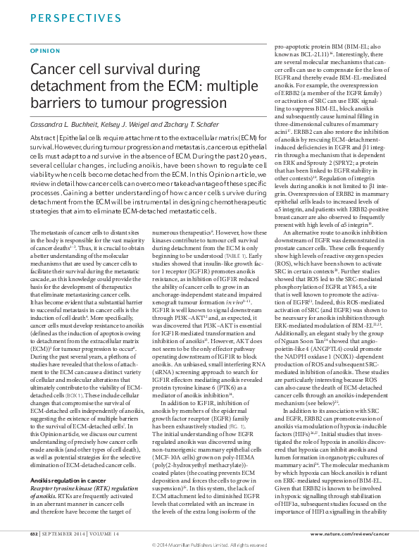 (PDF) Cancer cell survival during detachment from the ECM: multiple ...