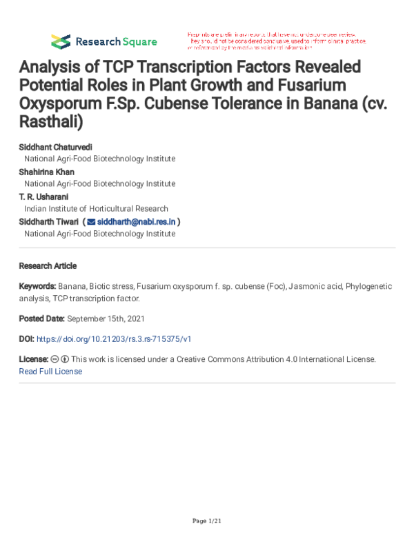 (PDF) Analysis of TCP Transcription Factors Revealed Potential Roles in ...