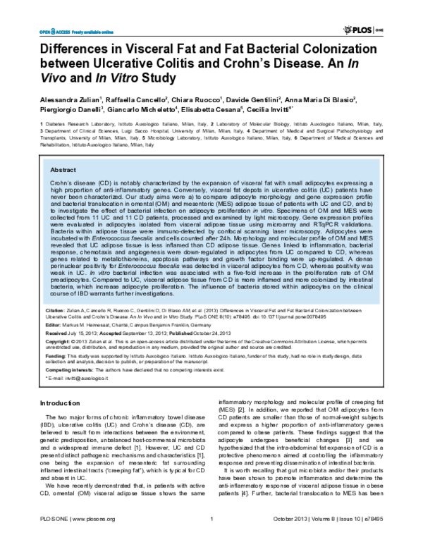 (PDF) Differences in Visceral Fat and Fat Bacterial Colonization ...