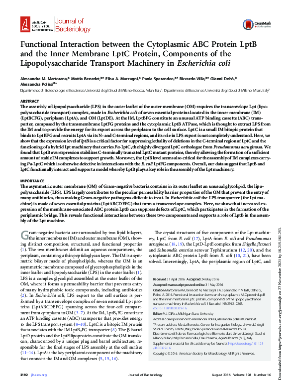 (PDF) Functional Interaction between the Cytoplasmic ABC Protein LptB ...