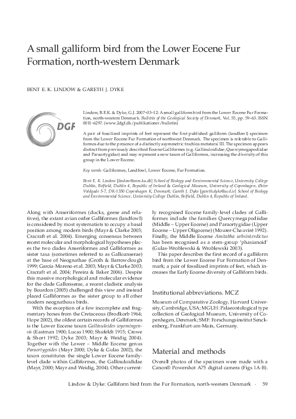 (PDF) A small galliform bird from the Lower Eocene Fur Formation, north ...
