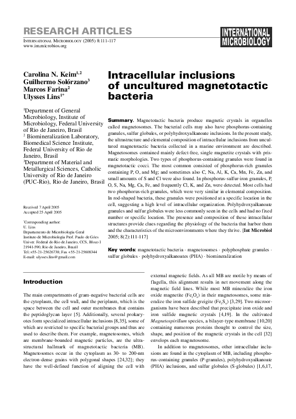 (PDF) Intracellular inclusions of uncultured magnetotactic bacteria