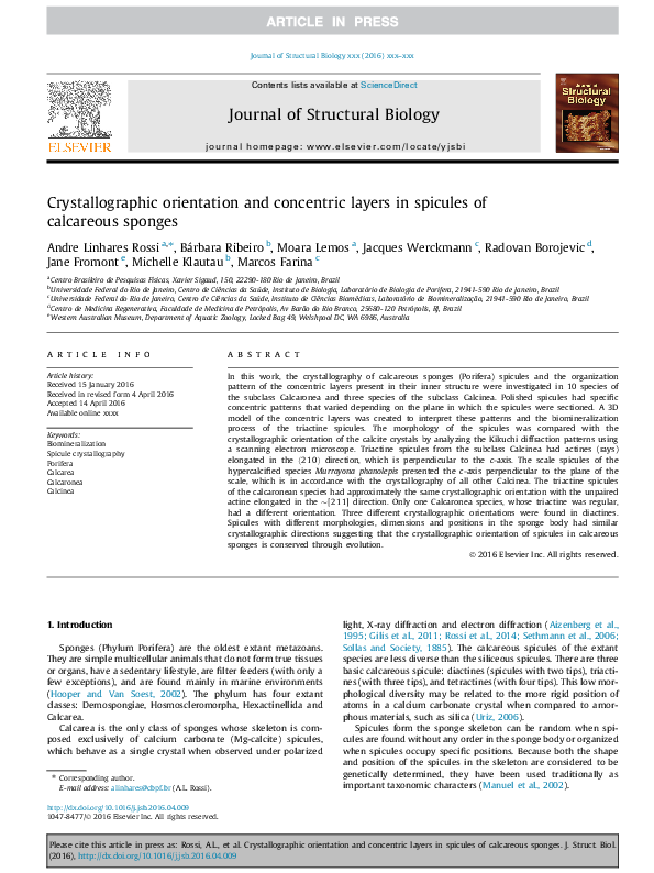 (PDF) Crystallographic orientation and concentric layers in spicules of ...