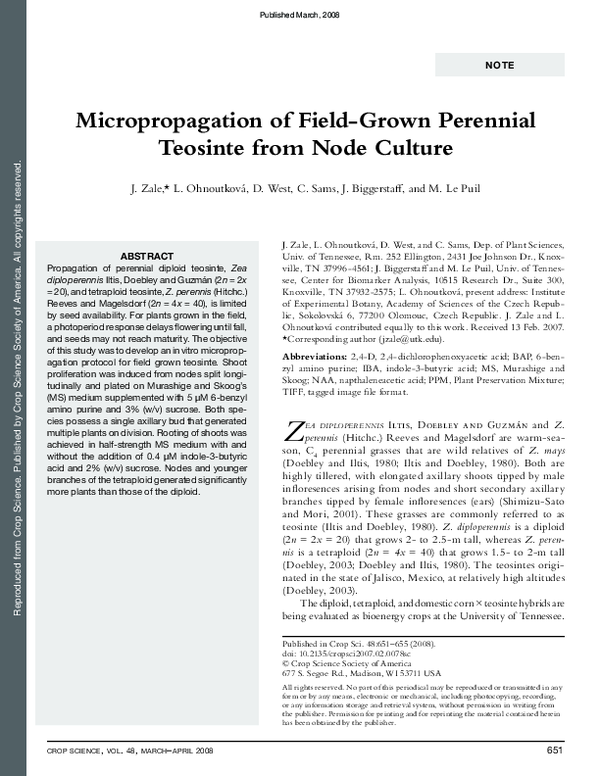(PDF) Micropropagation of Field-Grown Perennial Teosinte from Node Culture