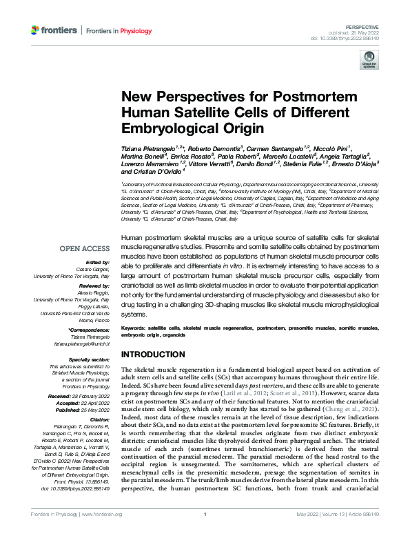 (PDF) New Perspectives for Postmortem Human Satellite Cells of ...