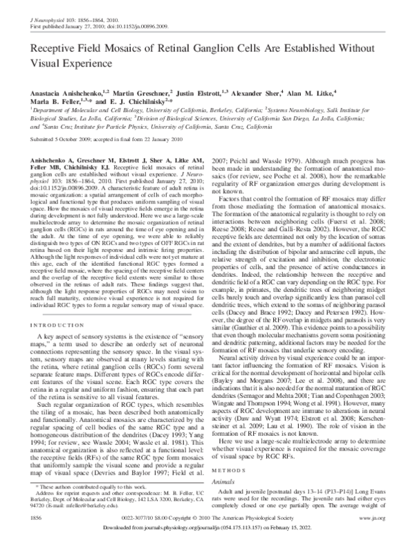 (PDF) Receptive Field Mosaics of Retinal Ganglion Cells Are Established ...