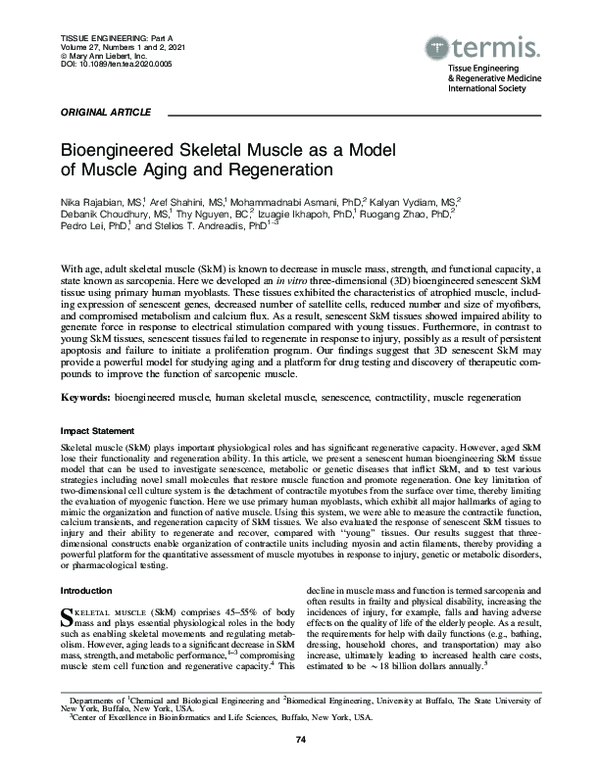 (PDF) Bioengineered Skeletal Muscle as a Model of Muscle Aging and ...