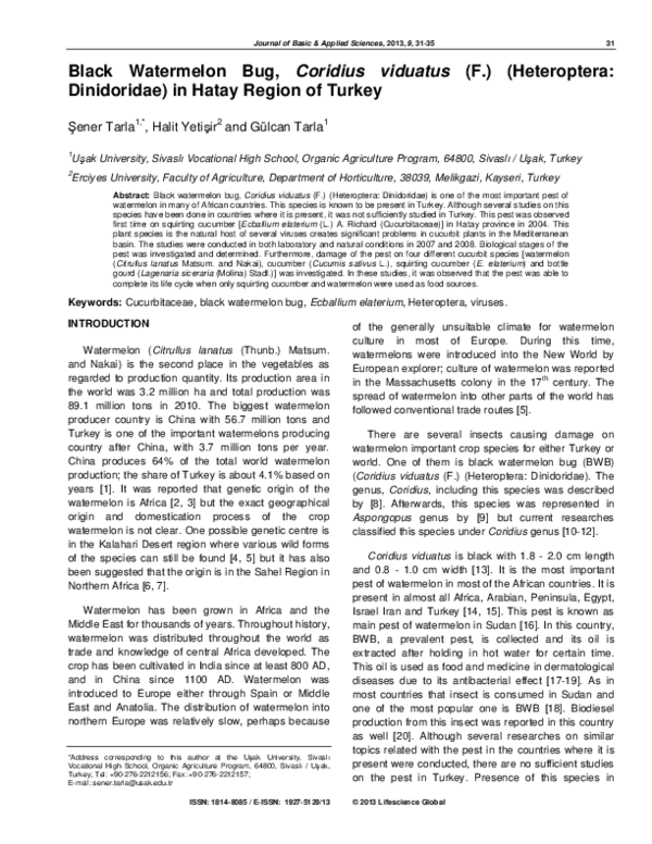 (PDF) Black Watermelon Bug, Coridius viduatus (F.) (Heteroptera ...