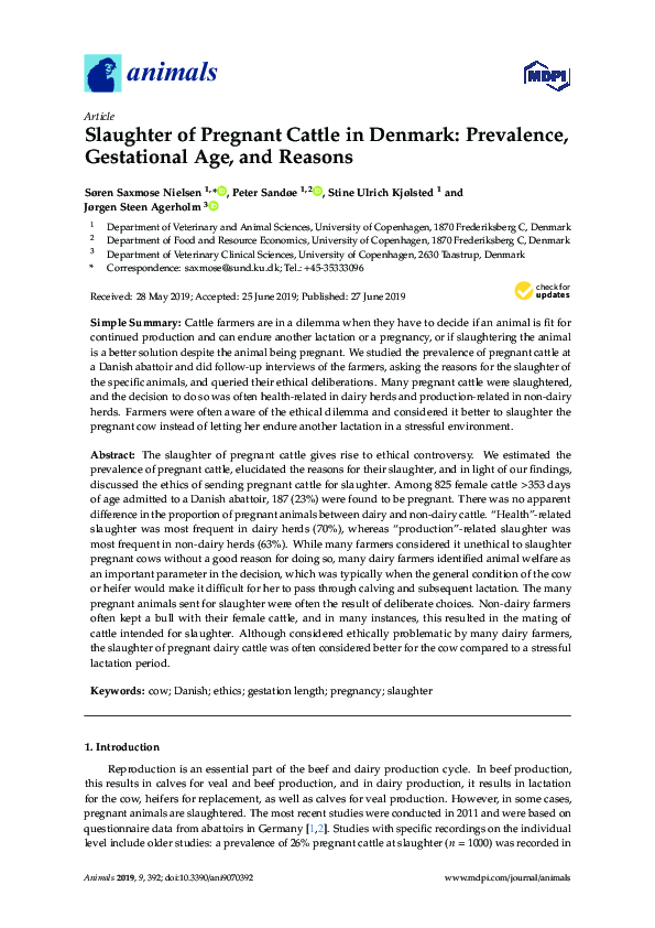(PDF) Slaughter of Pregnant Cattle in Denmark: Prevalence, Gestational ...