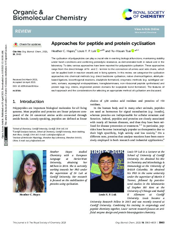 (PDF) Approaches for peptide and protein cyclisation