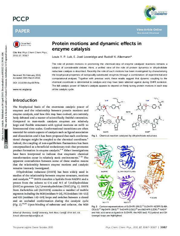 (PDF) Protein motions and dynamic effects in enzyme catalysis | Louis ...