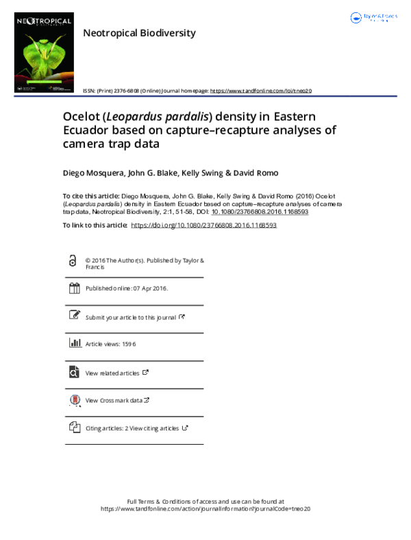 (PDF) Ocelot (Leopardus pardalis) density in Eastern Ecuador based on capture–recapture analyses ...