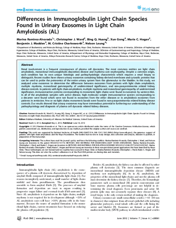 (PDF) Differences in Immunoglobulin Light Chain Species Found in Urinary Exosomes in Light Chain ...