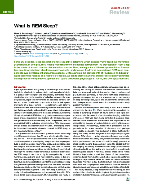 (PDF) What Is REM Sleep?
