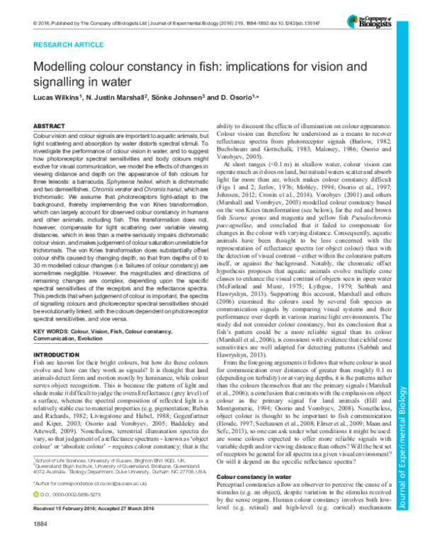 (PDF) Modelling fish colour constancy, and the implications for vision ...
