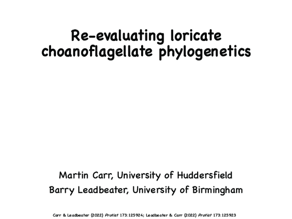 (PDF) Re-evaluating loricate choanoflagellate phylogenetics
